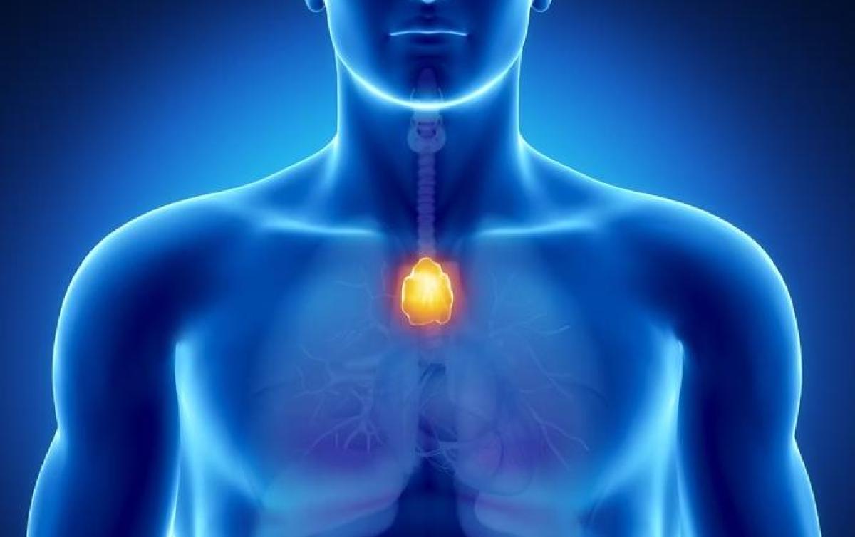 Sistema imune se degrada mais cedo do que se imaginava, diz estudo ...